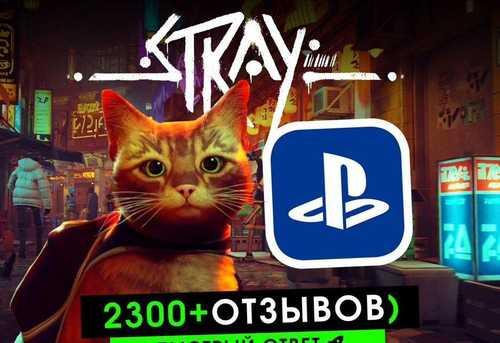 Stray PS4 & PS5 / Россия