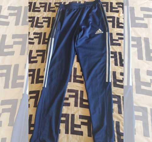 Брюки adidas tiro21 TK PNT navblu оригинал