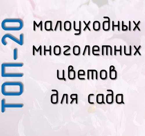 Пособие "Топ-20 малоуходных многолетних цветов для