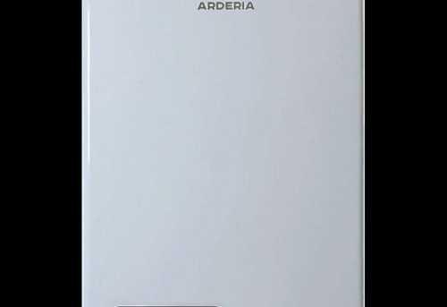 Котел газовый Arderia SB32 v3 одноконтурный
