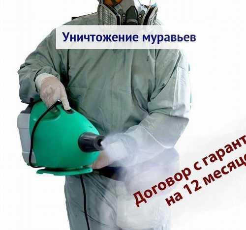 Уничтожение клопов тараканов грибка плесени