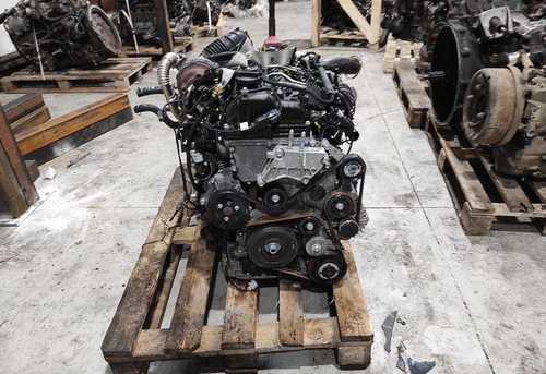 Двигатель Hyundai Santa Fe 2.0 D4HA