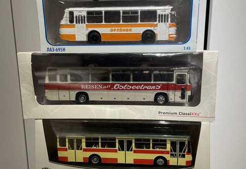 Автобусы SSM, Premium ClassicXXs, Сова