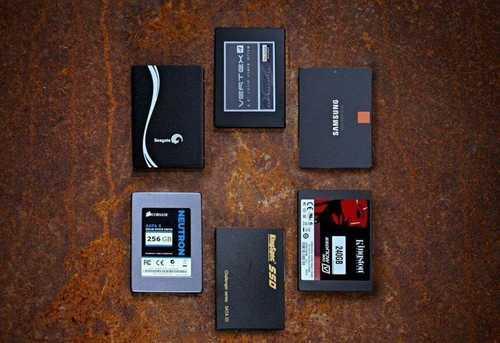 Много разных SSD накопителей