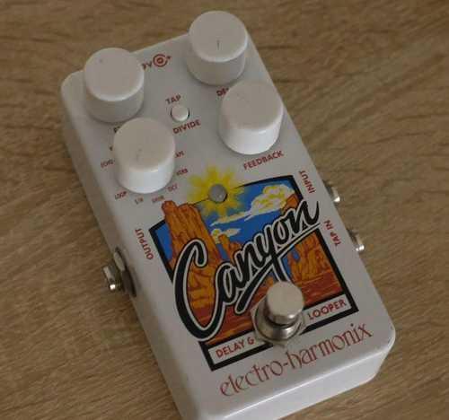 Electro-Harmonix (EHX) Canyon Delay / Looper