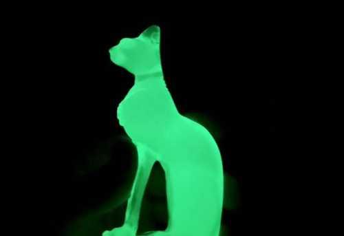 Кошка Кошки Египет Фосфор Фосфорный свет во тьме