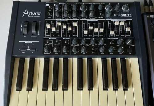 Arturia minibrute