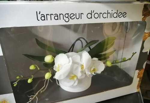 Орхидея Фаленопсис в Керамике Ланжери в подарочной