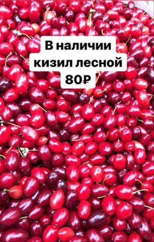 Кизил лесной 80/кг