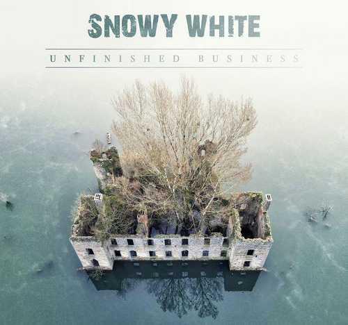 Компакт-Диск Snowy White Unfinished Business (CD)