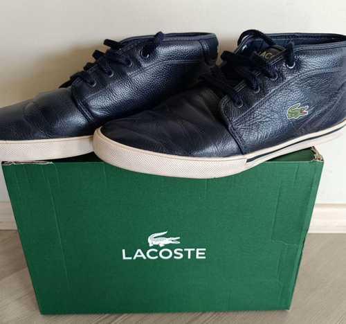 Мужские демисезонные кеды Lacoste (оригинал)