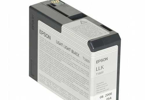 Струйный картридж Epson C13T580900 118711