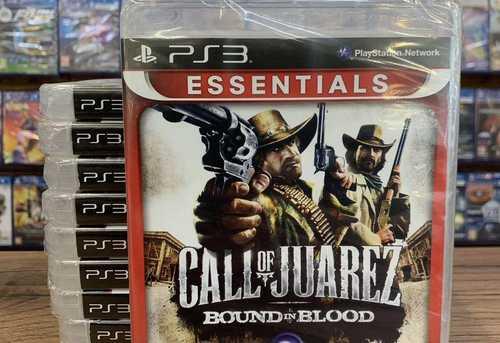 Call of Juarez: Bound in Blood (PS3)