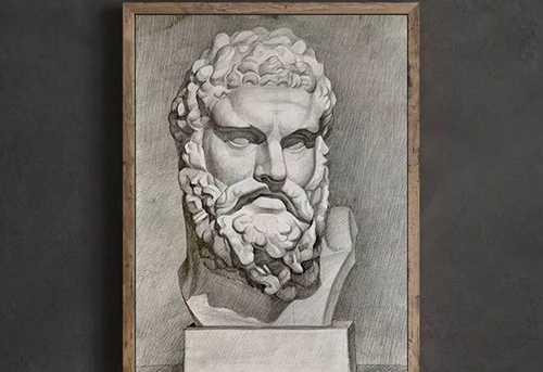Картина. Рисунок гипсовой головы Сократа