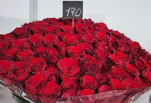Букет из 15 роз Цветы Розы