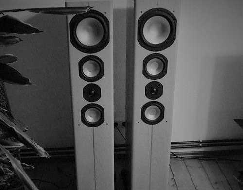 Топ Hi-End ASW Cantius 604 (Made in Germany)