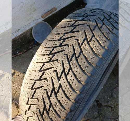 Nokian Tyres Hakkapeliitta 5 SUV 235/55 R20 102