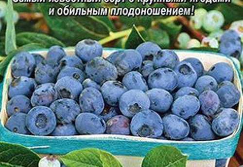 Семена: голубика, брусника