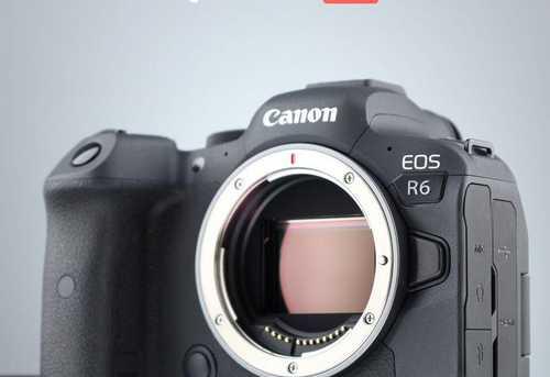 Canon EOS R6 Body (id-08240839)