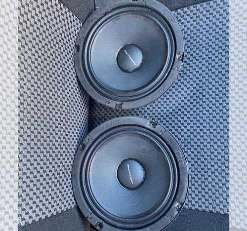 Deaf Bonce Apocalypse AP-MX60