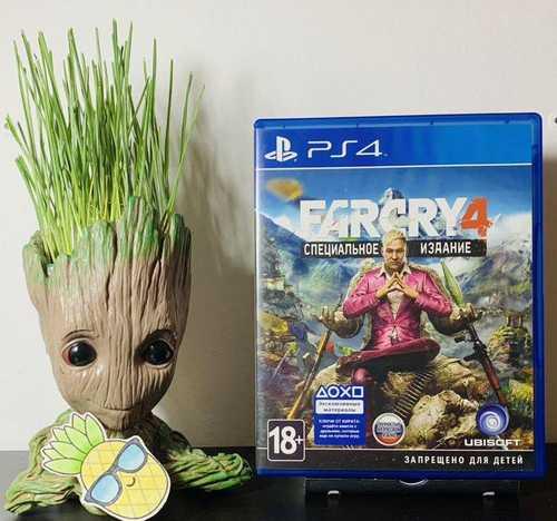 Far Cry 4 на PS4 б/у