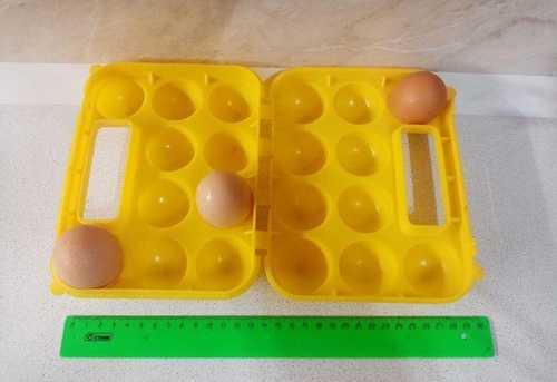 Контейнер для переноски яиц
