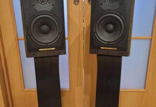 Колонки Sonus faber Cremona auditor