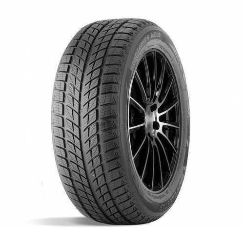 DoubleStar DW09 275/45 R20