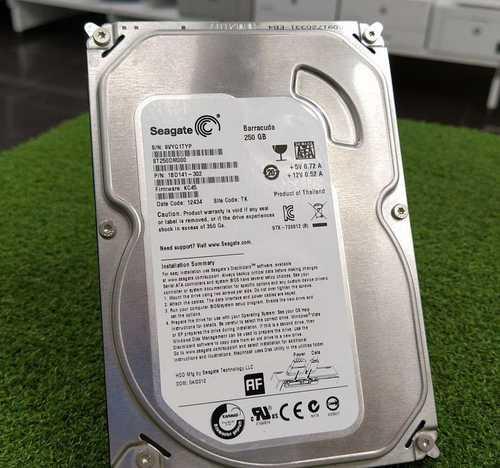 Жесткий диск Seagate 250Gb 3.5" ST250DM000