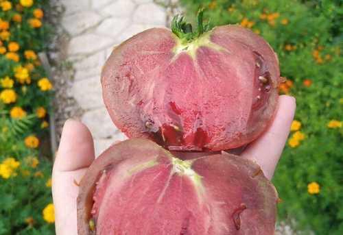 Семена томатов. Проверенные, вкусные сорта