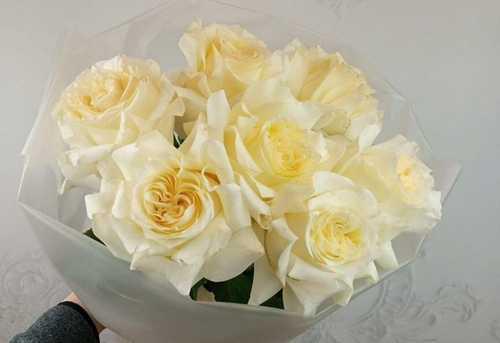 Букет из 7 белых роз Эквадор Доставка цветов