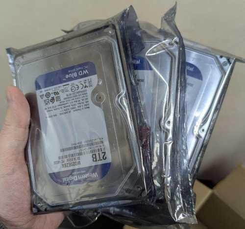 HDD 2tb Western digital, новые