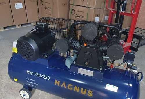 Воздушный компрессор Magnus 750/250 5,5кВт 380V