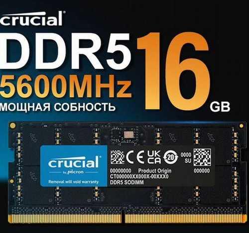 Оперативная память Crucial DDR5 5600MHz 32GB