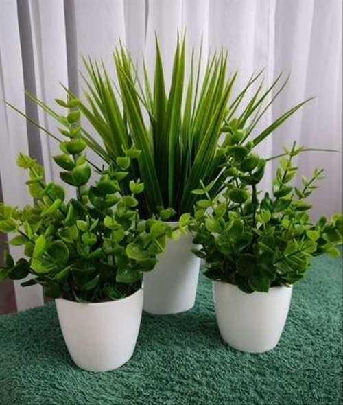 Декоративная зелень, искусственное растение, трава