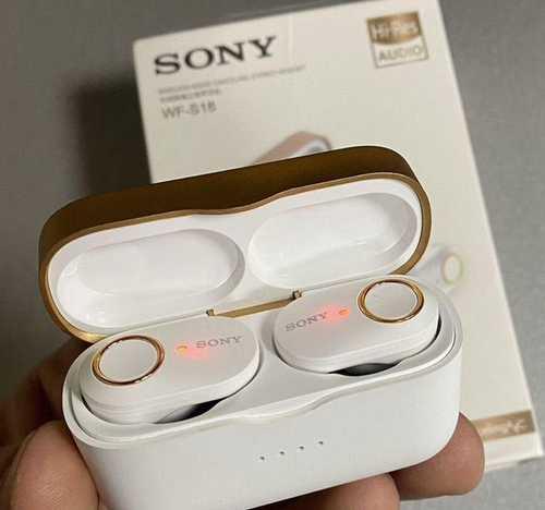 Наушники беспроводные с микрофоном Sony WF-1000XM3