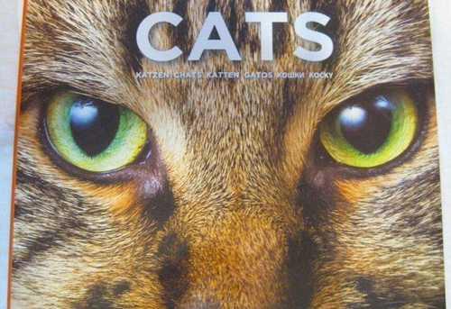 Книга о кошках Cats
