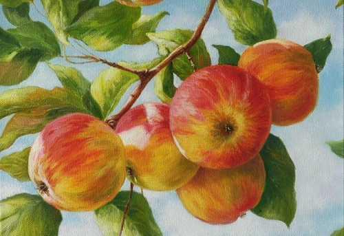 Картина маслом Яблоки на ветке яблоня