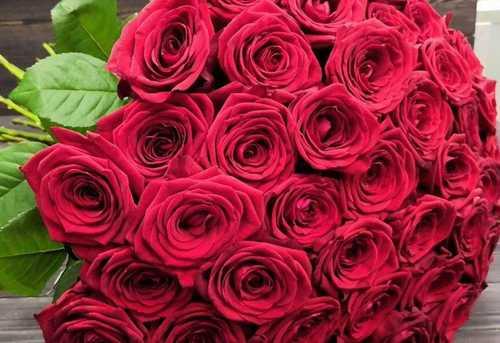 Розы Букет роз Красные розы Белые розы Оптом