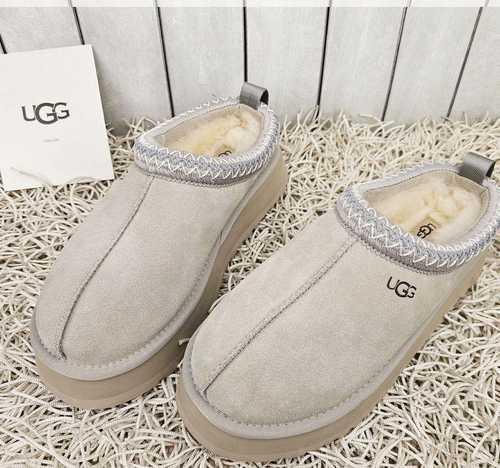 Ugg Tazz Platform Grey-Violet женские оригинал