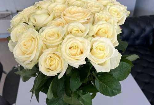 Белые розы с доставкой букеты 15, 25, 31, 51