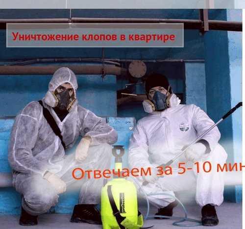 Средство против тараканов, клопов и крыс