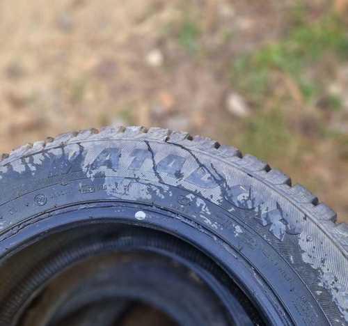 Matador MP 51 Sibir 2 15.00/65 R15
