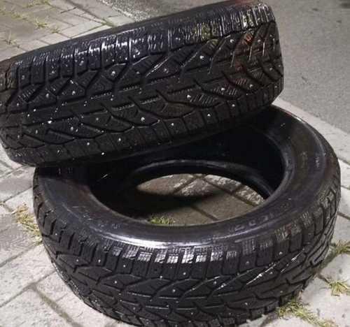 Tigar Ice 205/55 R16