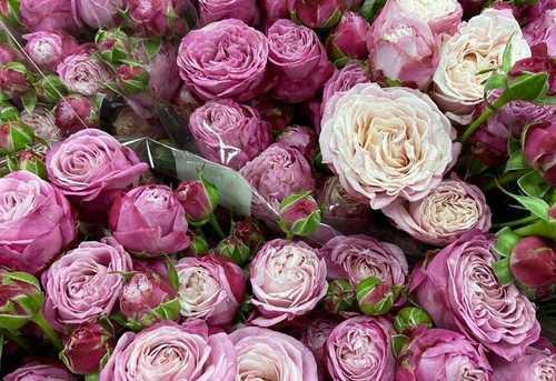 Пионовидные розы Кустовые розы 25 51 101 роза