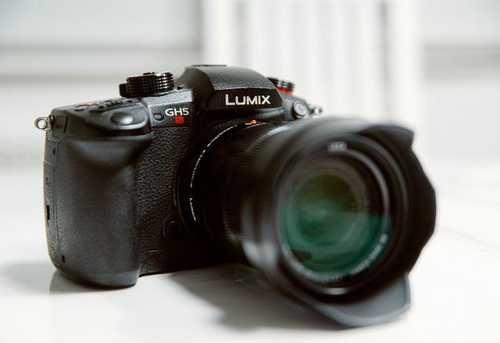 Panasonic lumix gh5s