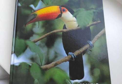 Книга Vogel птицы