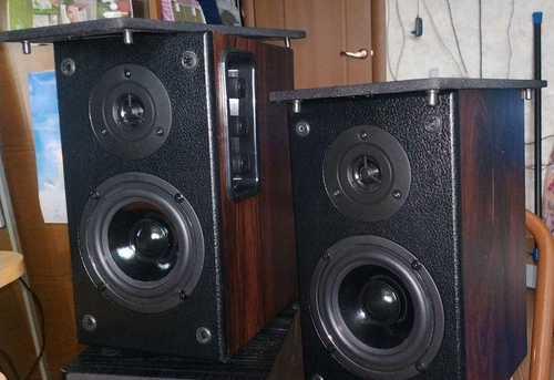 Акустические колонки TopDevice TDS-501