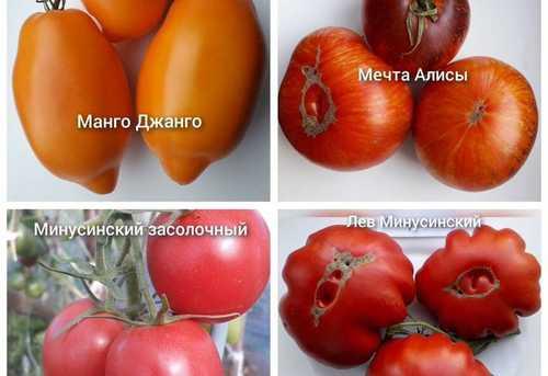 Семена коллекционных томатов ч.3