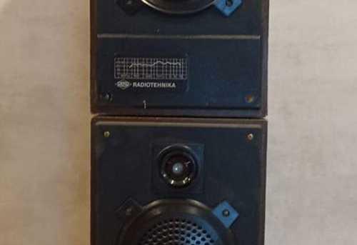 Колонки radiotehnika s 30 6 ас 221